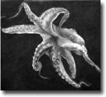 Nuuanu Gallery At Marks Garage - Jonathan Busse & Noe Tanigawa - First ...